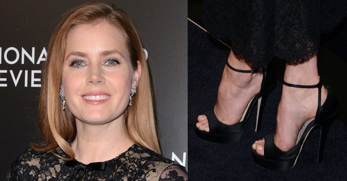 Amy Adams Awarded in Marchesa Dress and Jimmy Choo Sandals