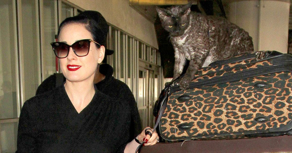 Dita Von Teese Travels With Devonshire Rex Cat Aleister in Louboutins