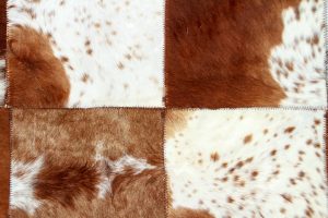 Cruelty-Free or Not? The Truth About Calf Hair Shoes Revealed