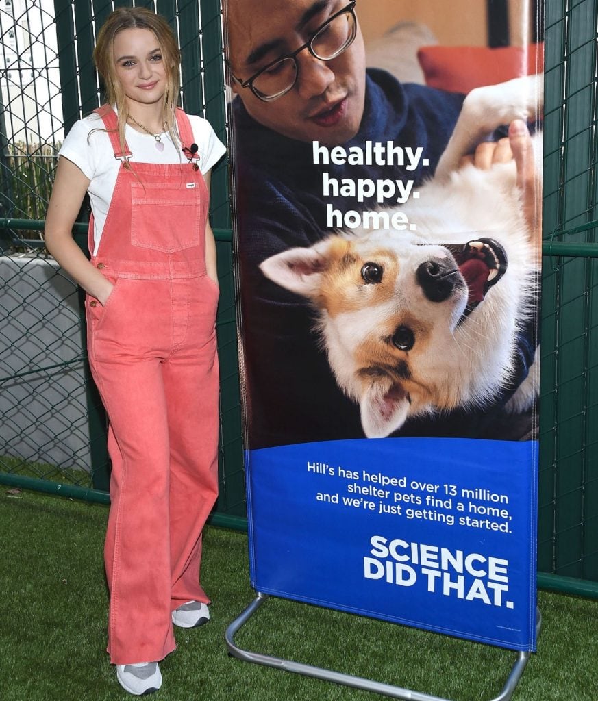 The Kissing Booth Cast in Heels & Loafers: Heights, Shoe Sizes, and Red ...